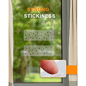 Window Fly Traps Indoor Clear 30 Pack, Sticky Window Fly Paper Strips Indoor Fly Catchers Flypaper for Home