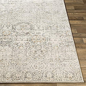 Artistic Weavers Aune Updated Traditional Area Rug 7'10" x 10'2",Grey