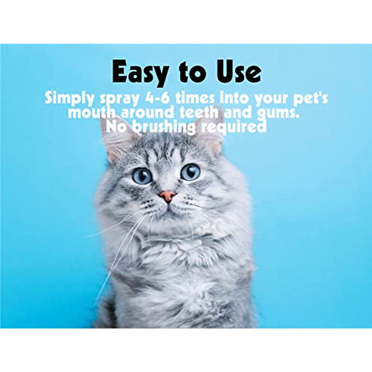 Petkin Plaque Spray, Cool Mint, 4 Fl Oz – Cleans Teeth & Gums, Removes Plaque & Tartar, Freshens Breath & Whitens Teeth with Baking Soda - Ideal Cat & Dog Dental Spray with No Brushing or Rinsing