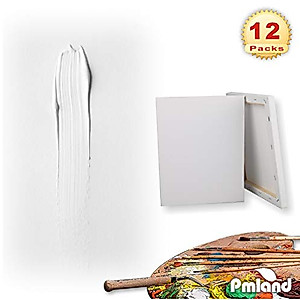 PMLAND Bulk Pack of 12 Stretched Canvas Panels Board for Acrylic or Oil Painting, Artwork, Crafting - 8 x 10 Inch, 5/8 Inch Thick, Individually Wrapped