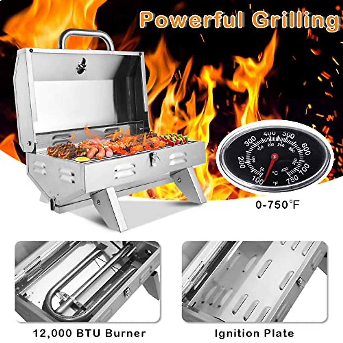 ROVSUN Portable Tabletop Propane Grill, Outdoor Gas Grill with Built-in Thermometer & Full Stainless Steel Body for Picnic Camping BBQ RV Patio Garden