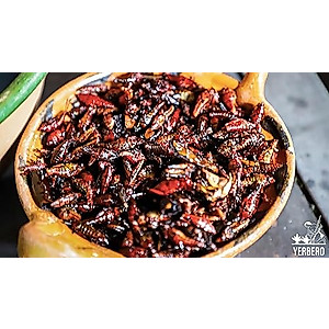 Yerbero - Fresh Chapulines From Oaxaca 1.03 oz (30gr) Adobado Spicy Flavor | All Natural Toasted Grasshoppers With Chili, Lime, Sea Salt and Garlic | Always Fresh (Not Dehydrated) Delicious, Exotic Mexican Snack. Imported From Mexico.