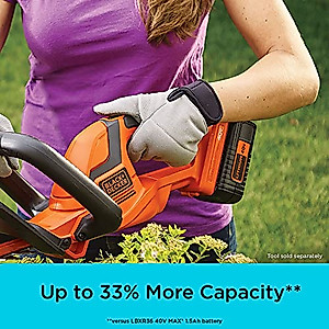 BLACK+DECKER 40V Max Battery, 2.0-Ah (LBX2040)