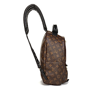 Louis Vuitton, Pre-Loved Monogram Canvas Palm Springs Backpack MM, Brown