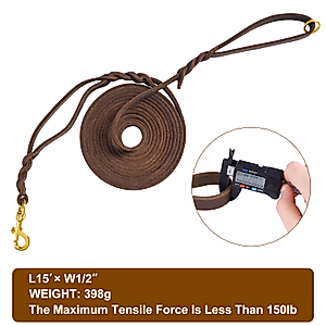 Wellbro 15ft Long Leather Dog Leash,Double Handle Dog Leash,Tieout for Yard, Camping, and Outdoors - Dog Run Cable for Total Control and Off-Leash Feel, Great for Large, Medium, Service Dogs