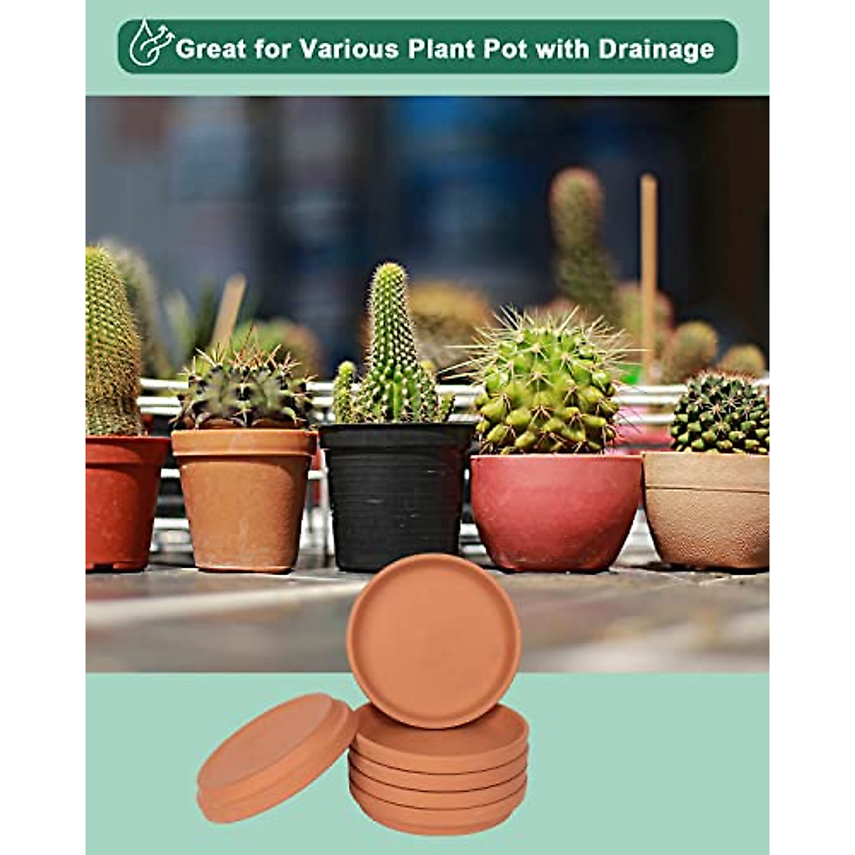4 Inch Small Terracotta Pot Plant Saucer - 6 pcs Small Round Plant Pot Saucers, Small Clay Plant Trays Perfect for 3 Inch 3.5 Inch 4 Inch Flower Pot with Drainage Hole and Great for Indoor or Outdoor