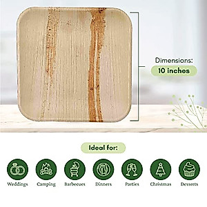 Dtocs Palm Leaf Plates 10 Inch Square 50 Pack Dinner Plate | Disposable Bamboo Plate Like Compostable Plates, Charcuterie Board, Cheese Platter | Wedding Plate Set Better Than Paper Plates