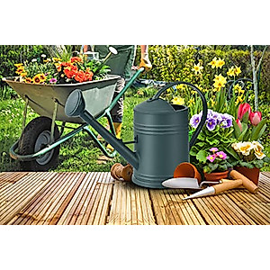 OKREK Watering Can Indoor Watering Cans for House Plants, Small Watering Can Indoor Plants, Plant Watering Can for Outdoor Plants Garden Flower (1/2 Gallon, Black)