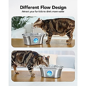 Cat Water Fountain with Water Level Window, HICC PULE 108oz/3.2L Stainless Steel Automatic Pet Water Fountain, Dishwasher Safe Dog Water Dispenser with Ultra-Quiet Pump, Multi-Filtration System