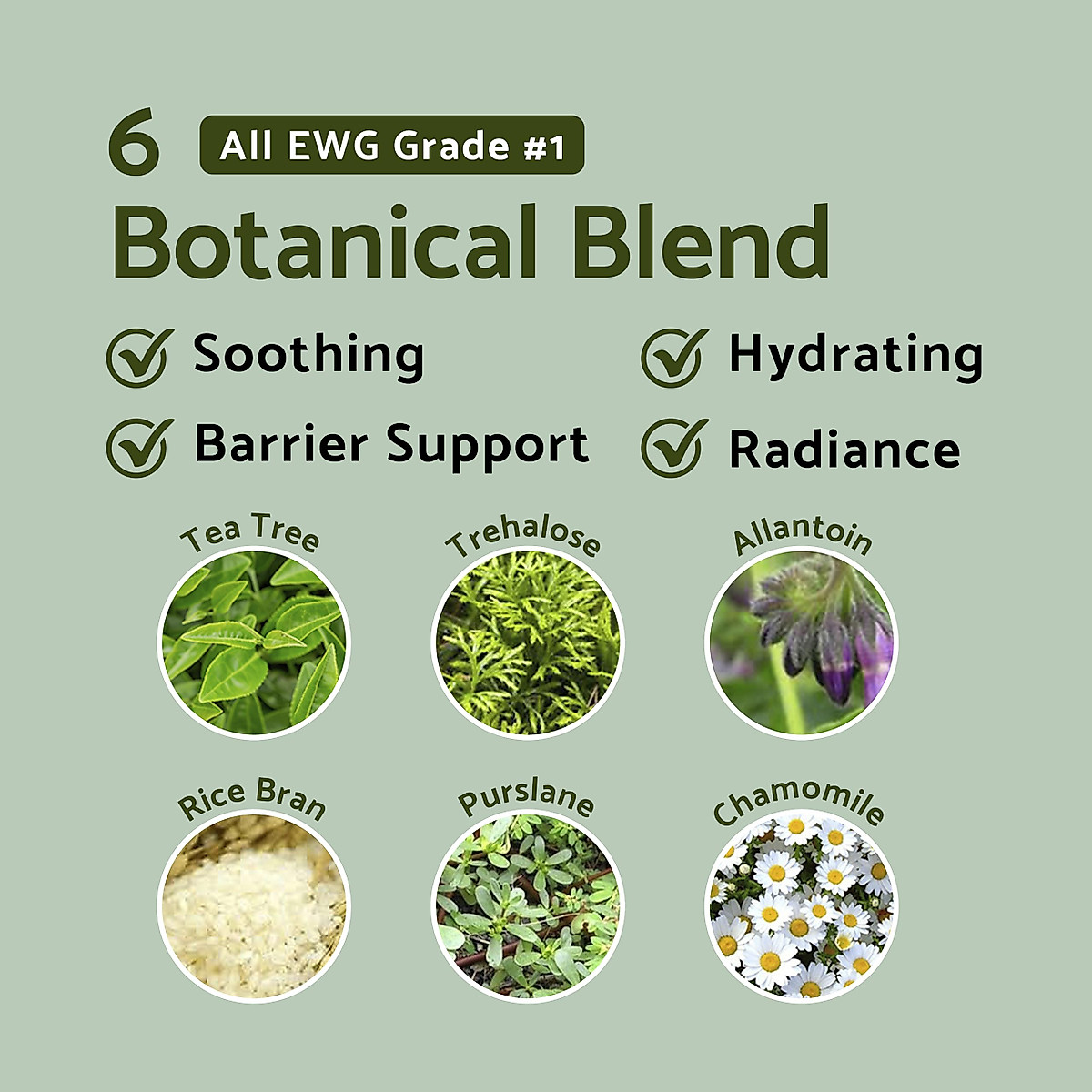 IUNIK Centella Bubble Foaming Vegan Facial Cleanser - 69% Centella Asiatica Extract, Soothing, Moisturizing, Exfoliating, Removes Pore Blackheads, Whiteheads, 5.07 Fl Oz