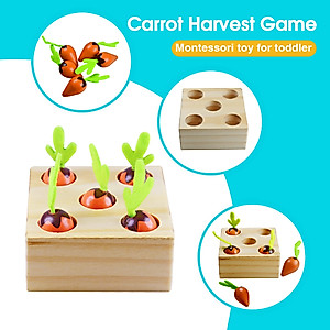 Uncle Nick Montessori Wooden Toy for Baby Stacking Raing Toy Carrot Harvesting Magnetic Fishing Game for 3 Year Old Boy Girls, Early Educational Learning Toy for Preschool