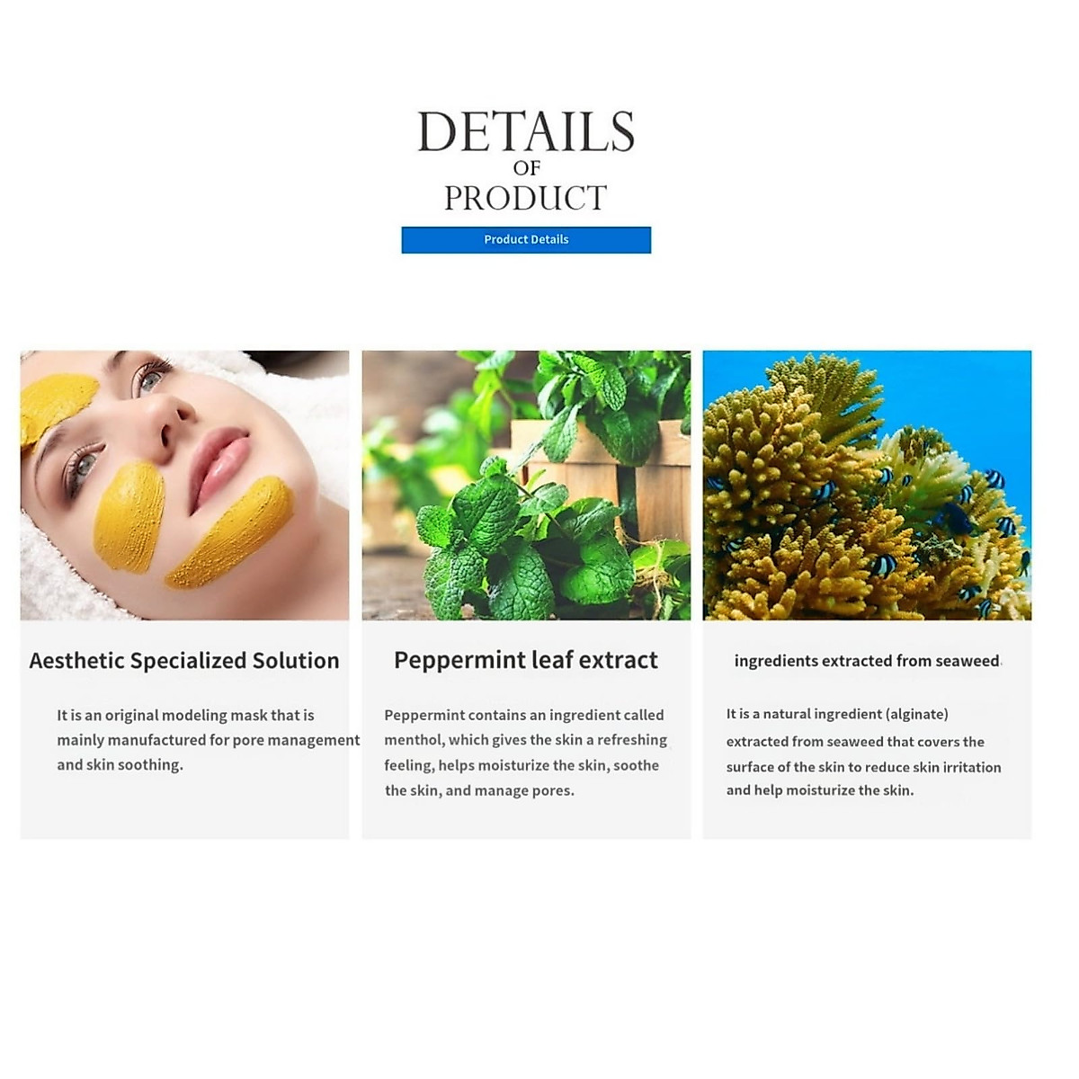 Anskin Modeling Mask Powder Pack Cool Ice for Soothing and Pore Management, 240g