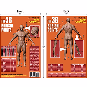 The 36 Bubishi Points, Pressure Points, Vital Points, Martial Arts, 8.5X11 folded or 11x17 unfolded