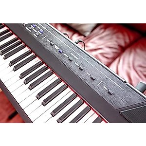 Alesis Recital – 88 Key Digital Piano Keyboard with Semi Weighted Keys, 2x20W Speakers, 5 Voices, Split, Layer and Lesson Mode, FX and Piano Lessons