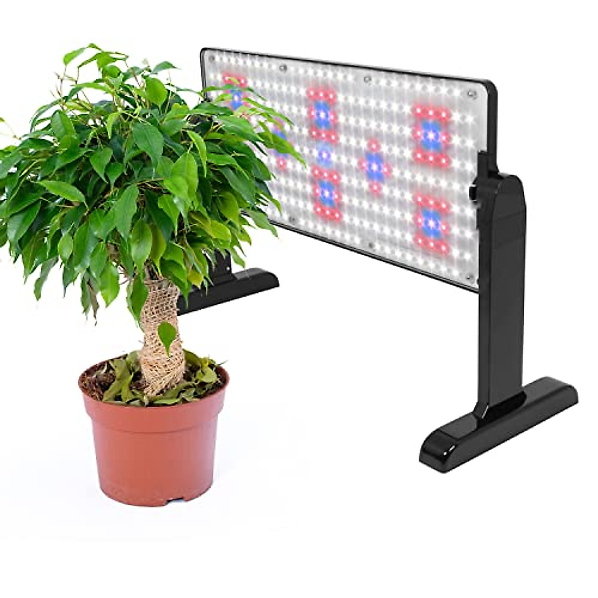 AeroGarden 45W LED Grow Light Panel - Grow Light for Plants, Includes Stand and Hanging Kit, Black