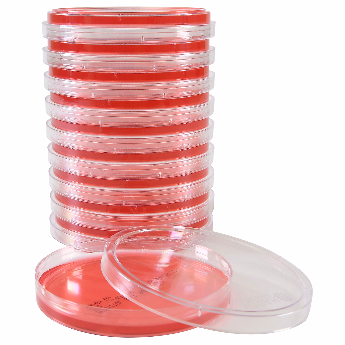 Hardy Diagnostics Mannitol Salt Agar (MSA), USP, for Staphylococcus, 15x100mm Plate, Order by the Package of 10