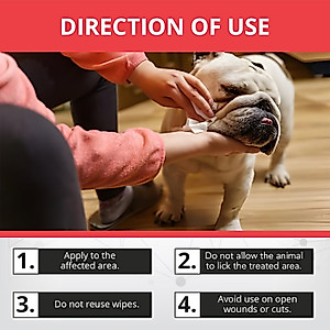 NOVEHA XL Cleansing Wipes with Aloe for Cats and Dogs - Formulated Pet Wipes for Facial, Finger Folds, and Underarms - Extra Large Size (5.5" x 7") - 120 Count