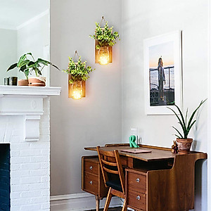 Mason Jar Lights, (Remote Control) Sconces Rustic Wall Decor - Hanging lamp LED Fairy Lights with Green Plant for Interior, Home, Room, Office, Kitchen, Bathroom Decoration Living (2PCS, Warm Light)