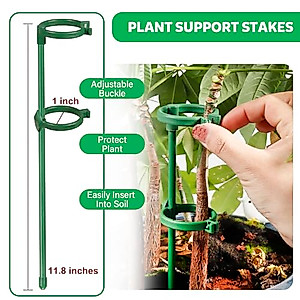 30 Pack Plant Stakes 12 Inch, Adjustable Length Plant Support Stakes for 3 Sizes (12, 24 or 36 Inches), Green Plant Sticks Fiberglass Single Stemmed Flower Support for Potted Indoor Plants