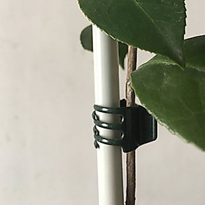 Vtete 50 PCS Large Size Orchid Clips and Garden Support Clips Green (Not with Flower and Plant Spike)