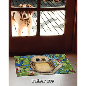 Toland Home Garden 800034 Hoot Hoot Fall Door Mat 18x30 Inch Owl Outdoor Doormat for Entryway Indoor Entrance