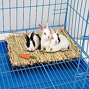 Grass House for Rabbits (1pc) and Grass mat for Rabbit Bunny(2pcs) Sangle Sopffy, Hand Woven Straw Hut, Small Animal Cages Hay Mat for Guinea Pig Parrot Rabbit Bunny Hamster Chinchilla Squirrel…
