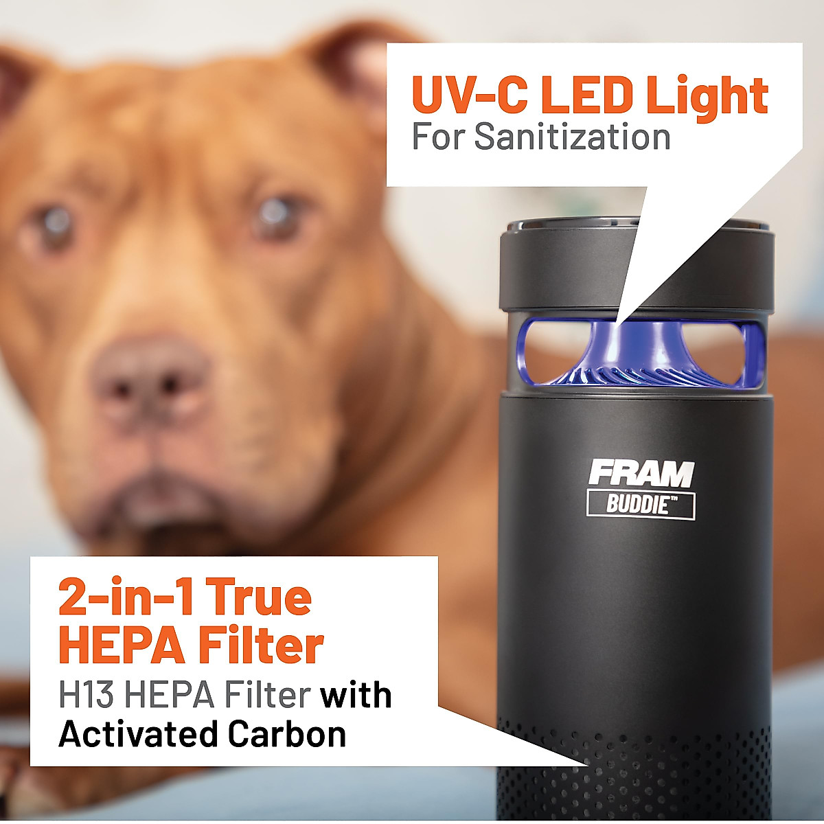 FRAM Buddie HEPA Air Purifier H13 Filtration & UV-C LED Sanitization, Cable-Free Rechargeable Portable Air Purifier for Home, Car & Work, Eliminates 99.97% of Dust, Smoke & Other Pollutants | CAP30200
