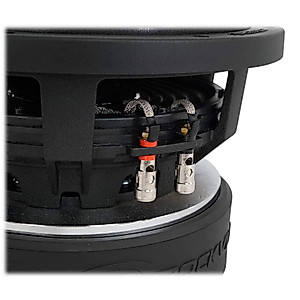 Rockville Punisher 10D1 10" 5000w Peak Competition Car Audio Subwoofer Dual 1-Ohm Sub 1250w RMS CEA Rated, Black