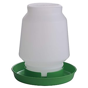 Little Giant® Complete Plastic Poultry Fount | 1 Gallon | Heavy Duty Plastic Gravity Fed Water Container Jar | Waterer for Chickens, Turkeys, Ducks & More | Made in USA | Lime Green