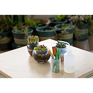 Ginsco 7pcs Succulent Transplanting Miniature Fairy Garden Planting Gardening Hand Tools Set