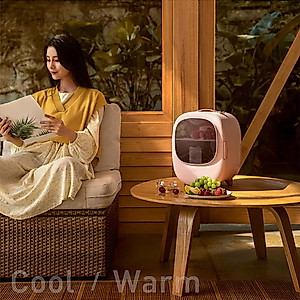 MegLob 8L Retro Mini Refrigerator, Personal Desktop Skin Care Product Beauty Fridge, Vehicle-Mounted 8*330Ml Cans Beverage Freezer, Breast Milk Cosmetics Insulin Medicine Cooler-With Viewing Window,Wh