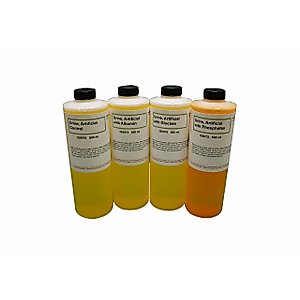 ALDON Innovating Science - Understanding Urinalysis - Demonstration of Urinalysis Techniques - Set of 4: Control, Albumin, Glucose, Phosphates- Cannot be Used for Drug Test Evasion