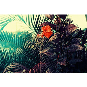 Lomochrome Purple 35 mm ISO 100-400