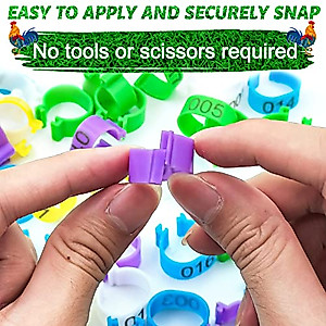 Keedolla 100Pcs 16mm Chicken Leg Rings 5 Colors Numbered Chicken Identification Leg Bands, Poultry Leg Bands Chicken Foot Rings for Ducks Chicks Bantam Guinea Pigeons Goose Gamefowl - Medium