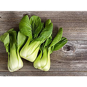 Gaea's Blessing Seeds - Bok Choy Seeds (2.0g) Canton Pak Choi Chinese Cabbage Non-GMO Seeds with Easy to Follow Planting Instructions - Heirloom 90% Germination Rate