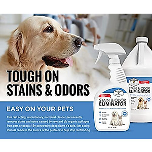 Stuart Pet Supply Co. Professional Strength Pet Odor Eliminator | Urine Odor Remover | Pet Urine Enzyme Cleaner | Pet Stain and Odor Remover | Enzymatic Cleaner for Dog Urine and Cat Urine