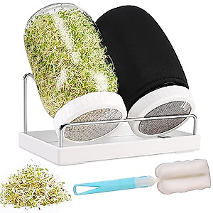 Luckyiren Complete Sprouting Kit - 2 Large Wide-Mouth Mason Jars, 2 Premium Screen Lids, 2 Blackout Sleeves, Sprout Stand and Tray for Indoor Microgreens Broccoli Alfalfa Radish Salad Mix Sprouts