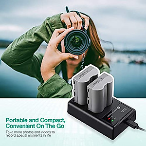 FirstPower EN-EL3e Battery 2-Pack 2200mAh and Dual USB Charger Compatible with Nikon D50, D70, D70s, D80, D90, D100, D200, D300, D300S, D700 Digital SLR Cameras