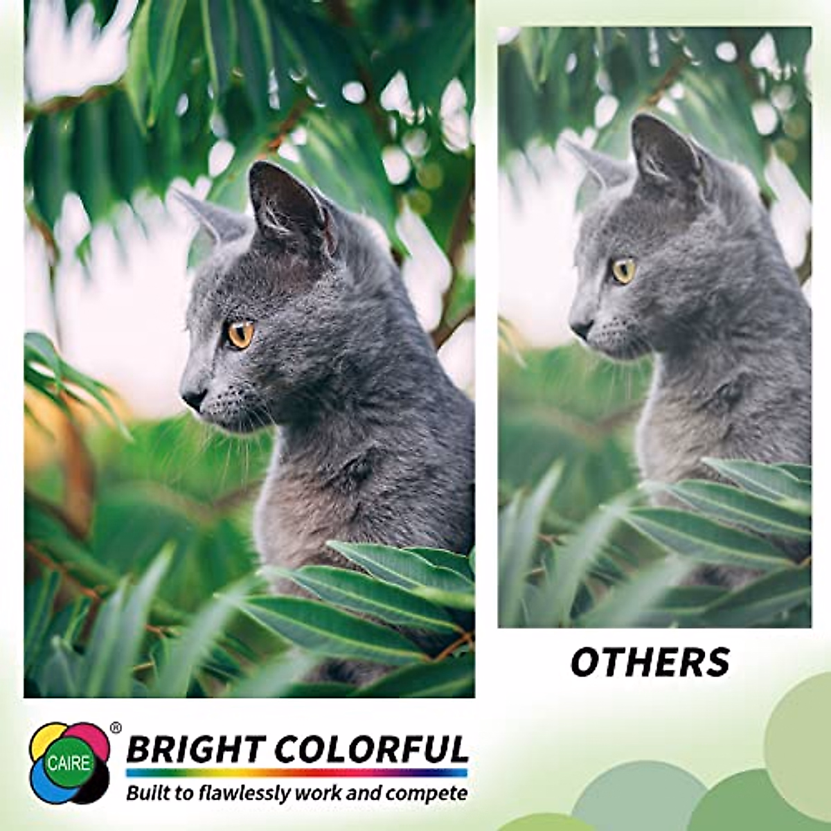 CAIRE Compatible Dell E525W E525DW E525 Toner Cartridge, Toner Cartridges Replacement for Dell E525W Color Laser Printer for 593-BBJX 593-BBJU 593-BBJV 593-BBJW (Black*2 Cyan Magenta Yellow, 5 Pack)