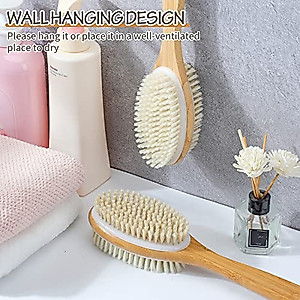 Jekayla Back Scrubber for Shower with Long Handle, Body Exfoliator, Shower Brush for Wet or Dry, Back Brush for Men and Women, Exfoliating Body with Soft Scrub and Stiff Bristles, White