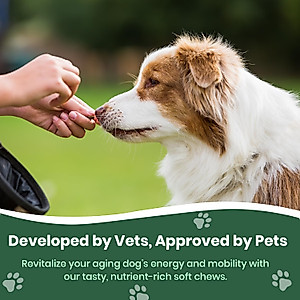 Vet Naturals Daily Senior Overall Wellness Joint Supplement for Dogs - All-in-One Dog Vitamins w Glucosamine for Dogs - 60ct Dog Hip and Joint Supplement - Grain-Free, Soy-Free, Rotisserie Chicken