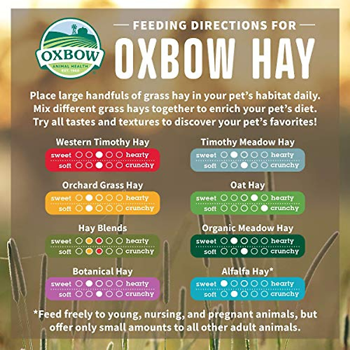 Oxbow Animal Health Oxbow Hay Blends - Western Timothy & Orchard - 90 oz.
