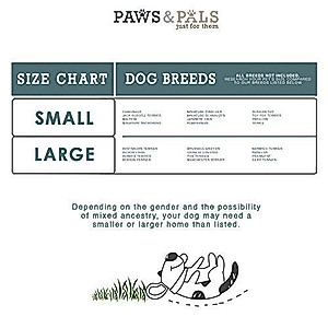 Paws & Pals Airline Approved Pet Carriers with Fleece Bed For Dog & Cat, Large, Mineral Blue