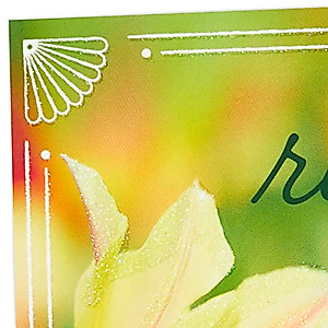 DaySpring Pack of Religious Easter Cards, He is Risen (10 Cards with Envelopes)