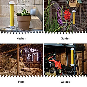 Trappify Sticky Gnat and Fly Traps for Home Pest Control - Fly, Gnats, Moths and Other Flying Insects Traps with Extra Sticky Adhesive - Disposable Fly, Gnat and Moths Catcher - 18 Traps