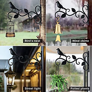 JIALAI HOME 2 Pack Hanging Plants Bracket 12" Bird Planter Outdoor Hooks Hangers for Flower Baskets Pot Bird Feeder Wind Chimes Lanterns Patio Garden Outdoor Indoor Metal Black