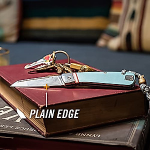 Gerber Gear 31-003721 Straightlace Folding Pocket Knife, 2.9 In Fine Edge Blade, Green