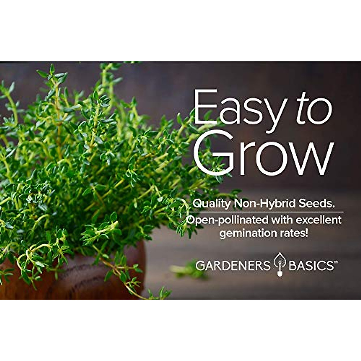 Thyme Seeds for Planting is A Heirloom, Non-GMO Herb Variety- Thymus Vulgaris Herb Seeds Great for Indoor and Outdoor Gardening by Gardeners Basics