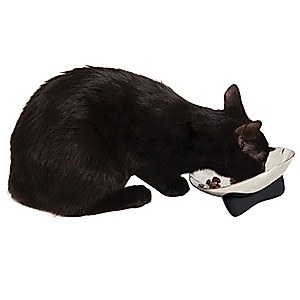 Petmate Jackson Galaxy Nova Stainless Steel Cat Bowl