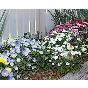 Solo 456 2.25 Gallon Professional Handheld Sprayer with Carrying Strap